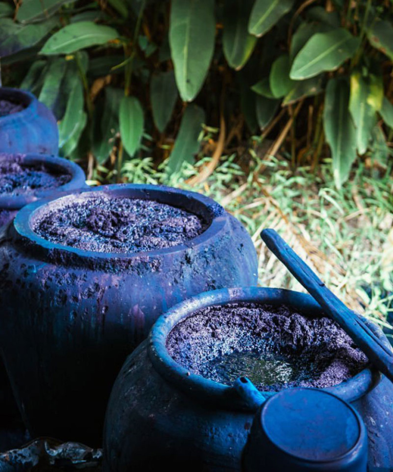 Hill Tribe Indigo Dye - From Plant To Fabric